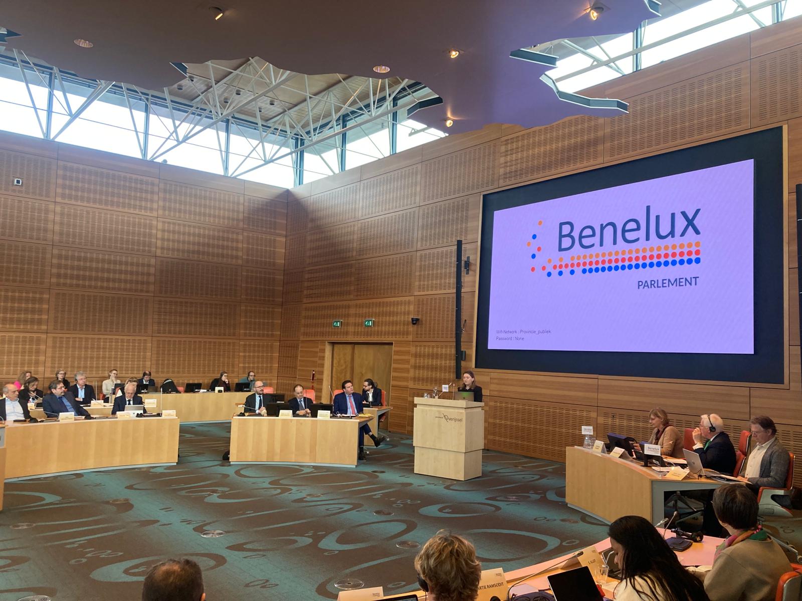 Séance plénière du Parlement Benelux - Benelux